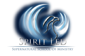 About - Spirit Led Family